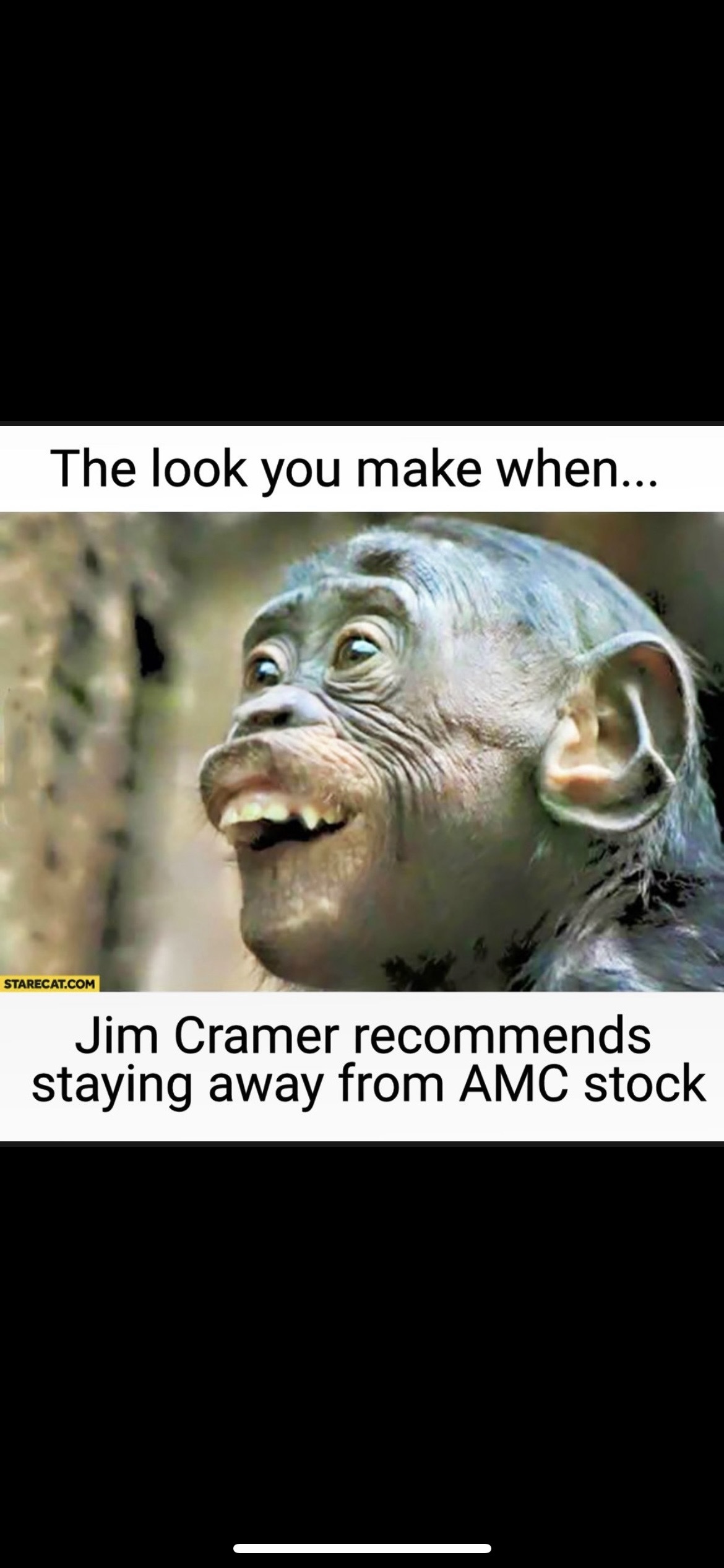 Amc Memes